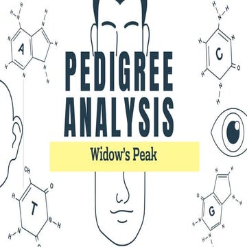 Genetics Basic concepts Presentation in colorful ilustrative style.pptx