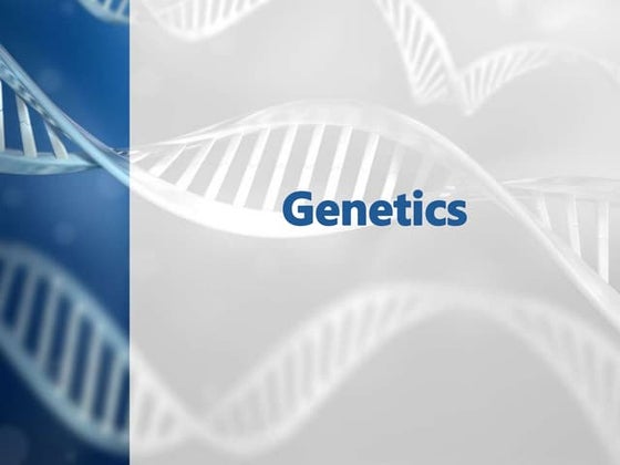 Punnett Square | PPTX