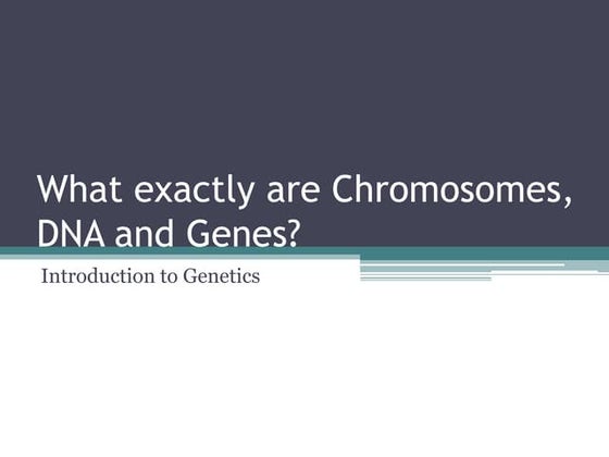 Genotypes and phenotypes | PPTX
