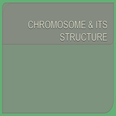 GIT physiology - Gastrointestinal hormones. .ppt