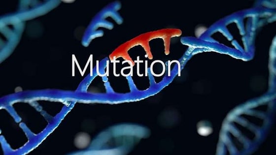 Mutation Topic Of Geneticsii Pdf