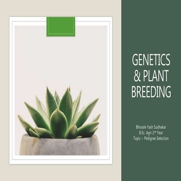 PEDIGREE METHOD OF PLANT BREEDING | PPTX