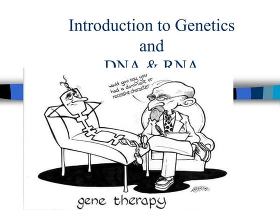 Introduction to Genetics.ppt