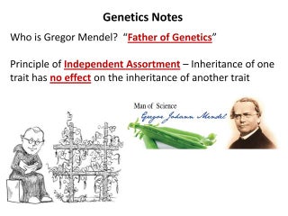 Genetics lecture 2 pw_2012 | PPT