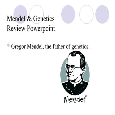 GeneticsPowerpoint111111111111111111.ppt