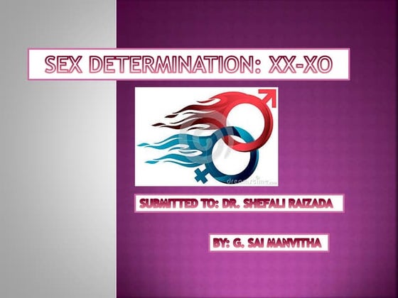 Sex Determination Chromosomal Theory Of Sex Determination Ppt