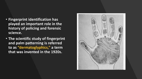 fingerprint characteristics | PPT
