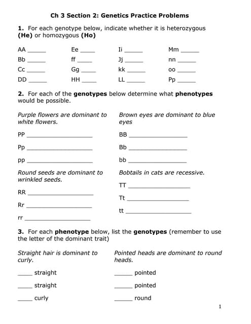 Punnett Square | PPTX