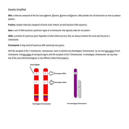 Genetics Simplified | DOCX