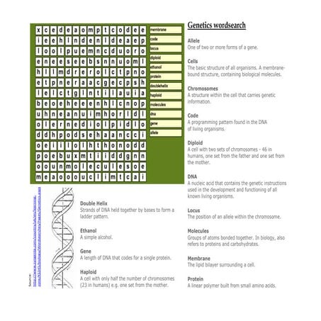 Genetics puzzle | PDF