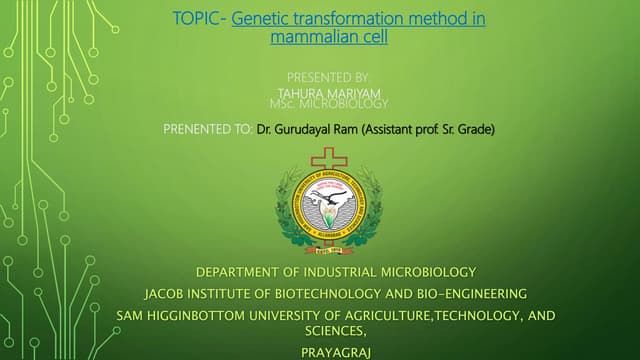 Genetic Transformation Method In Mammals Cell By Nidhi Mishra And