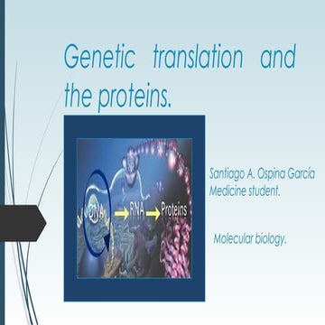 Genetic translation and the proteins. | PPT