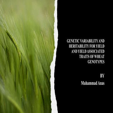 Genetic variability and heritability for yield and yield | PPT