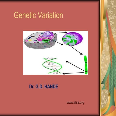 Genetic Variation.ppt