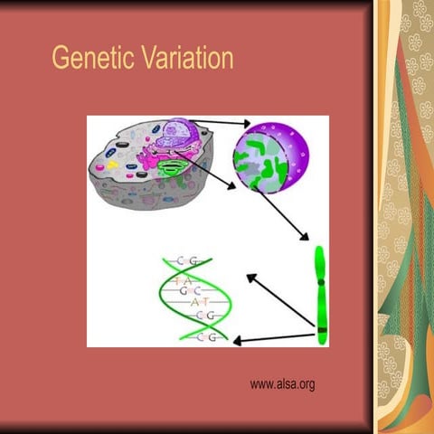 Genetic Vjgshshjshjshssjhsjhgsjhariation.ppt
