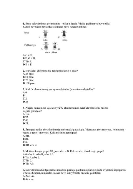 Monohibridinis kryžminimas. pirmas mendelio dėsnis | PPT