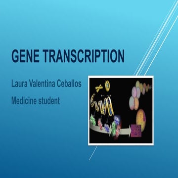 Gene transcription | PPTX