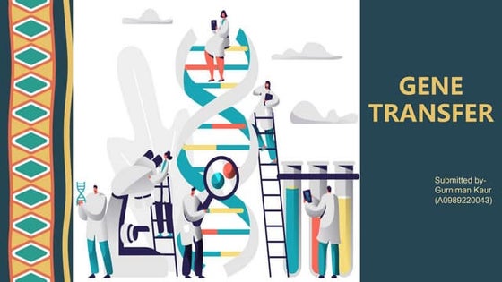 Horizontal gene transfer in bacteria | PPT