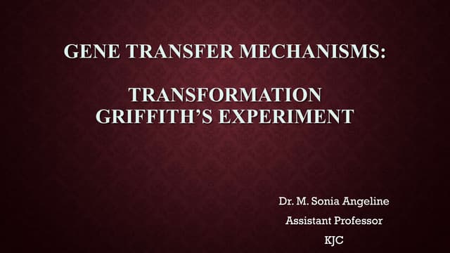 Transformation in bacteria | PDF