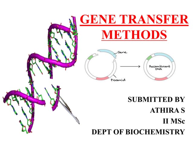 Gene transfer methods | PPTX