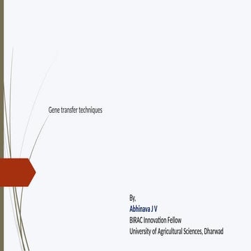 Management of IPRs assembly elections meter.pptx