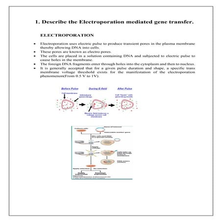 Gene transfer methods | PPTX