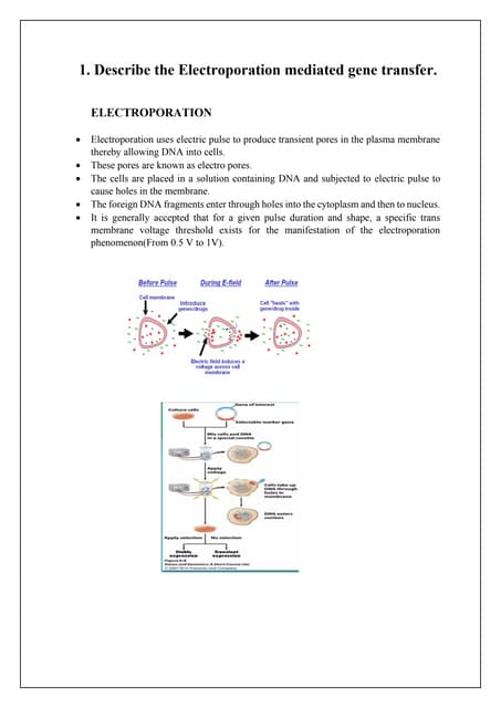 Gene transfer methods | PPT