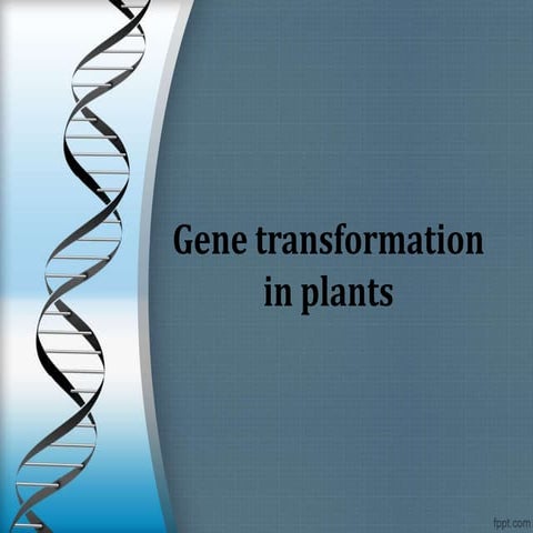 Gene transformation in plants | PPT