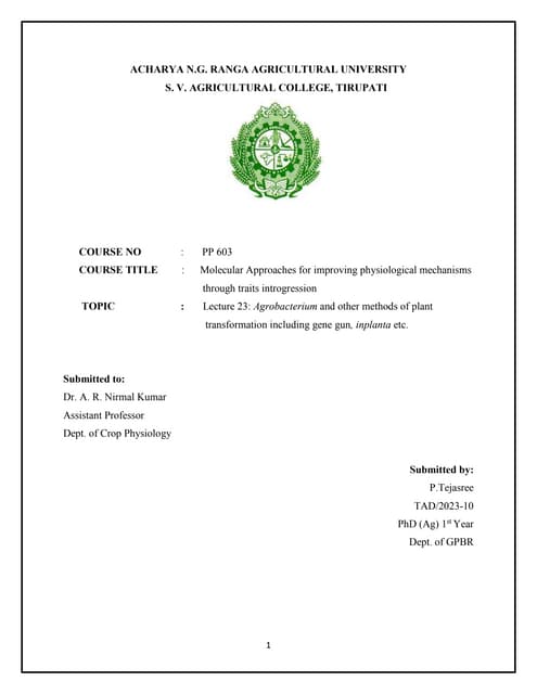 Plant expression vectors | PPTX