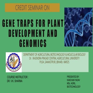 Gene traps for plant development and genomics | PPTX