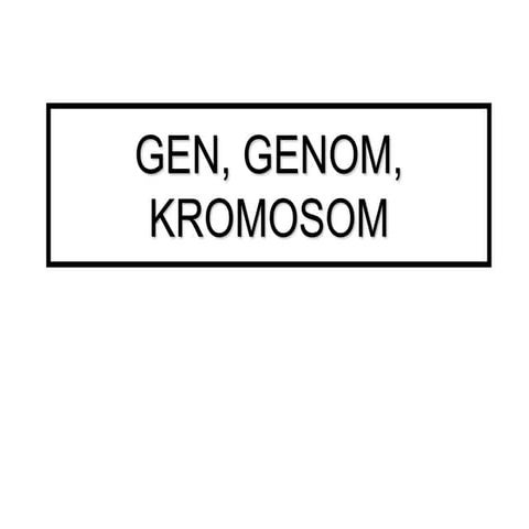 gen, genom, kromosom.ppt