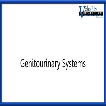 Genitourinary-Systems.pptx