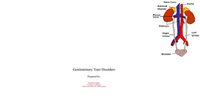Acute renal failure, chronic renal failure - Pathology - ATOT | PPTX