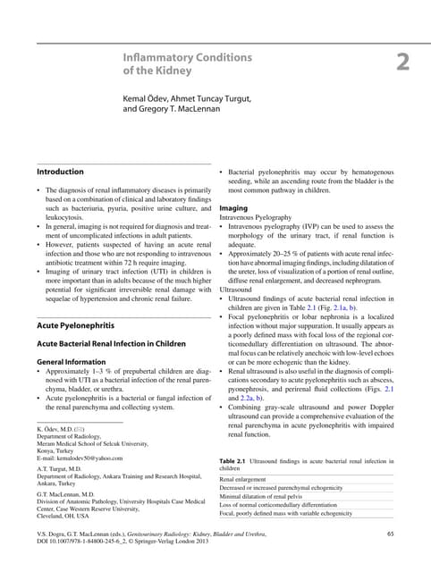 Model based fault diagnosis techniques 2e | PDF