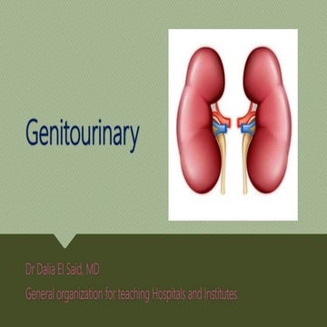 Genitourinary signs.pptx