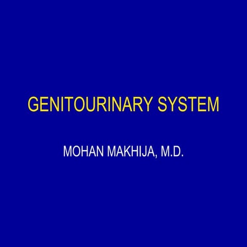 Genitourinary system | PPT