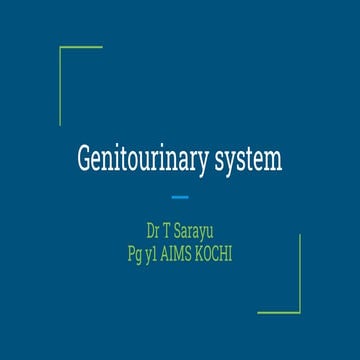 Genitourinary system.pptx genitourinary1 | PPT
