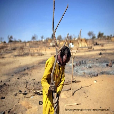 Genocide in Darfur | PPT