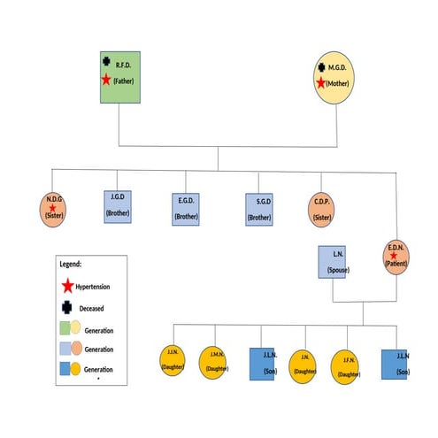 Genogram in Case Presentation in Healthcare | PPT