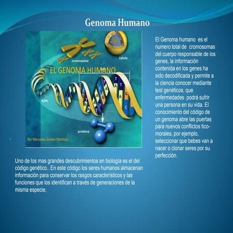 Genoma humano | PPTX