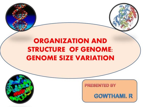 Genome | PPT