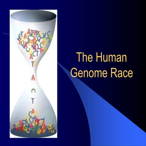 L14 human genome | PPT