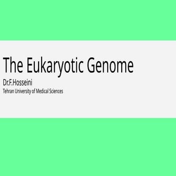 Comprehensive Overview of Eukaryotic Genome Structure and Chromatin ...