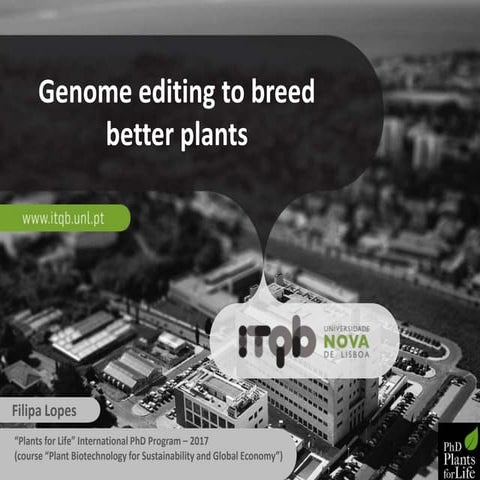 Genome-editing-in-plants_FilipaLara.pptx