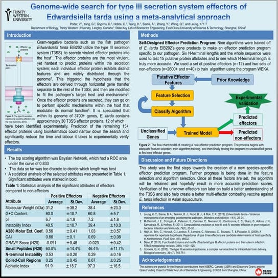 Type iii bacterial secretion system | PPTX