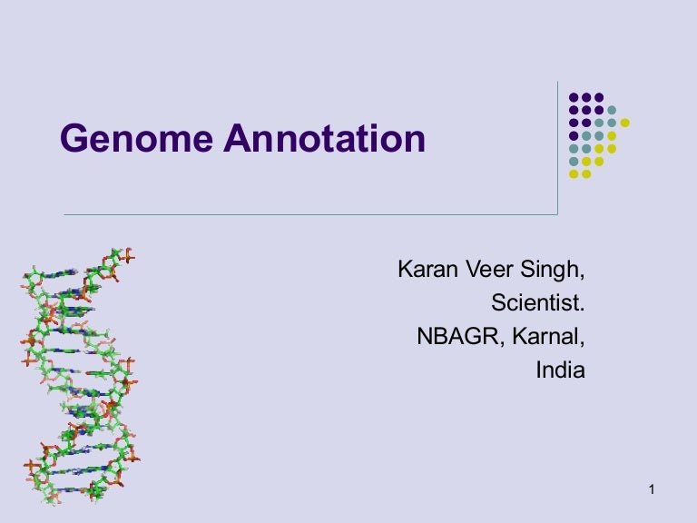 Genome Annotation 2013