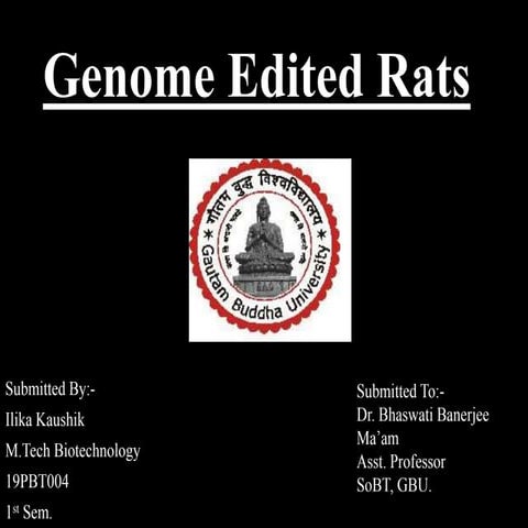 Genome Edited Rats | PPTX