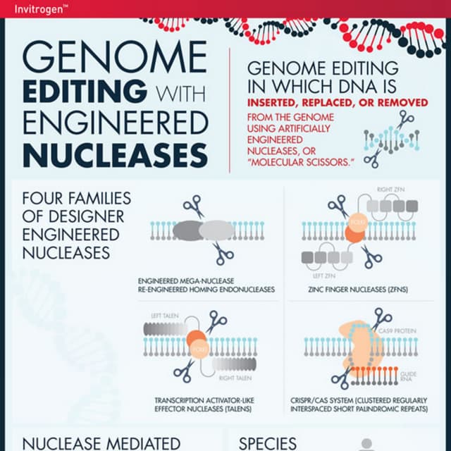 Genetic Editing | PDF