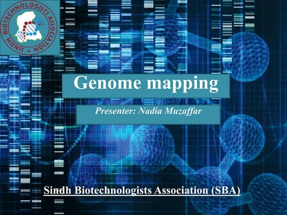Gene mapping ppt | PPTX | Genealogy and Ancestry | Hobbies & Interests