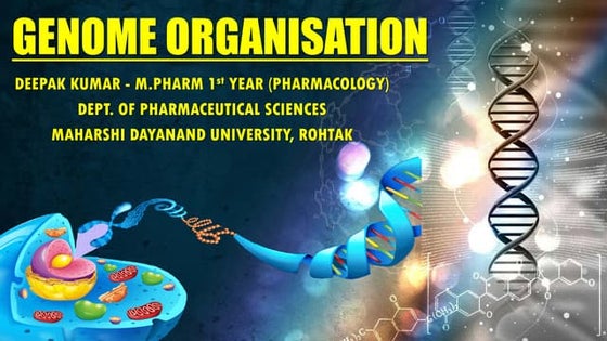 Genome | PPTX